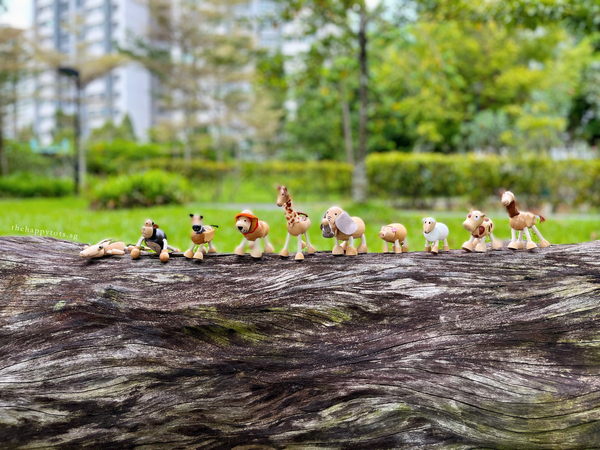 The Zoo Animals Set (Alligator, Elephant, Giraffe, Monkey, Lion, Zebra ...