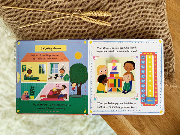 Little Big Feelings: Sometimes I am Angry (Self Pick Up) | Giftr ...