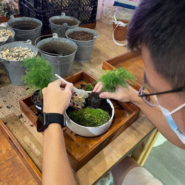 Zen Garden Workshop | Giftr - Singapore's Leading Online Gift Shop