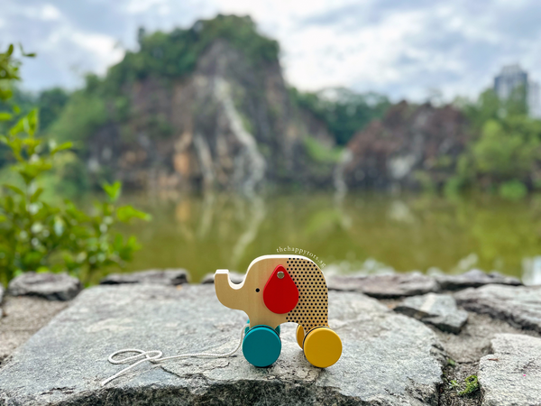 Eli The Elephant Push and Pull Toy | Giftr - Singapore's Leading Online ...