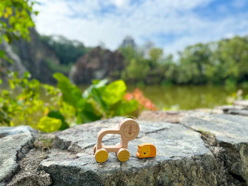 Leon The Lion Push Along Toy | Giftr - Singapore's Leading Online Gift Shop