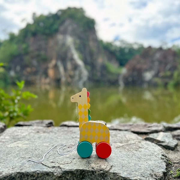 Gaby The Giraffe Push and Pull Toy | Giftr - Singapore's Leading Online ...