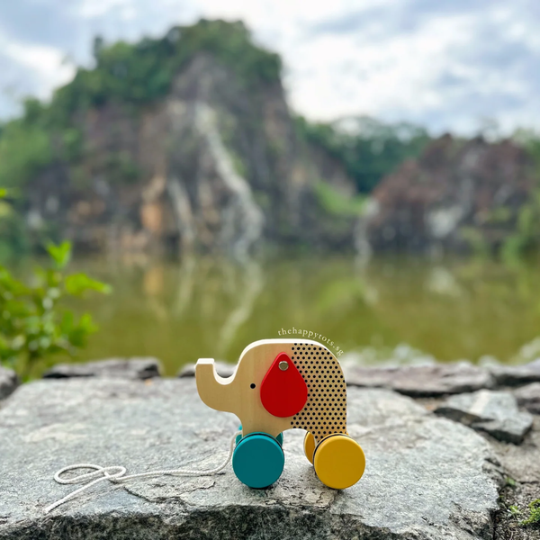 Eli The Elephant Push and Pull Toy | Giftr - Singapore's Leading Online ...