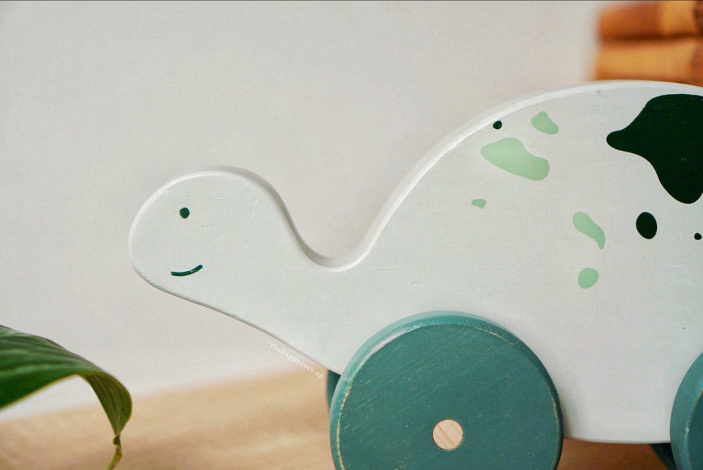 Shelly the Green Tortoise Push and Pull Toy | Giftr - Singapore's ...