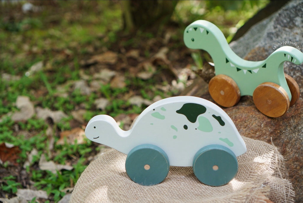 Shelly the Green Tortoise Push and Pull Toy | Giftr - Singapore's ...