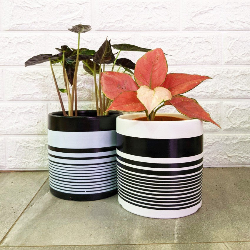 Ceramic Pots Checkered & Stripes Series | Giftr - Singapore's Leading ...