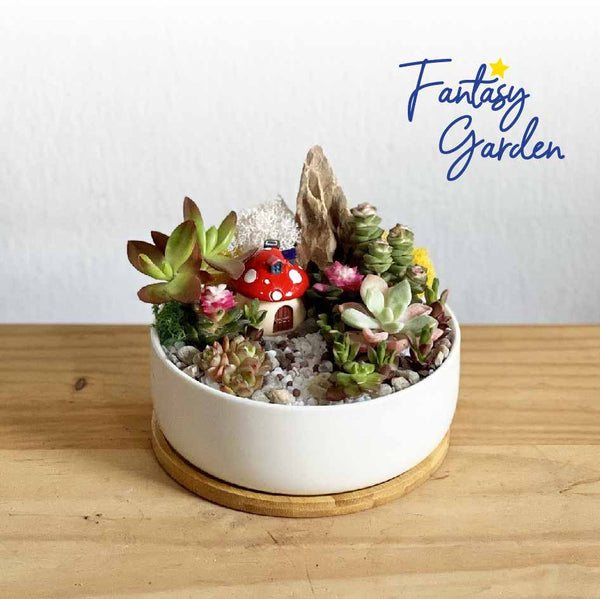 Fairyland Workshop | Giftr - Singapore's Leading Online Gift Shop