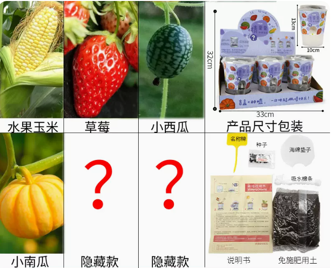 Mystery Blind Box - DIY Plant Box Kit (Fruits Edition) | Giftr ...