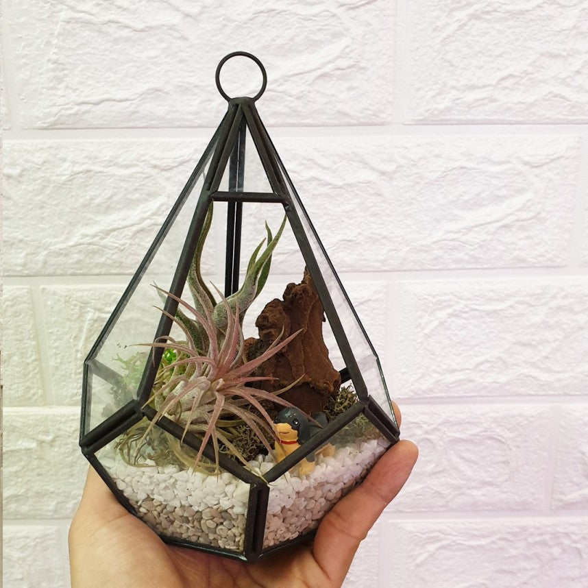 Geo Diamond Terrariums | Giftr - Singapore's Leading Online Gift Shop
